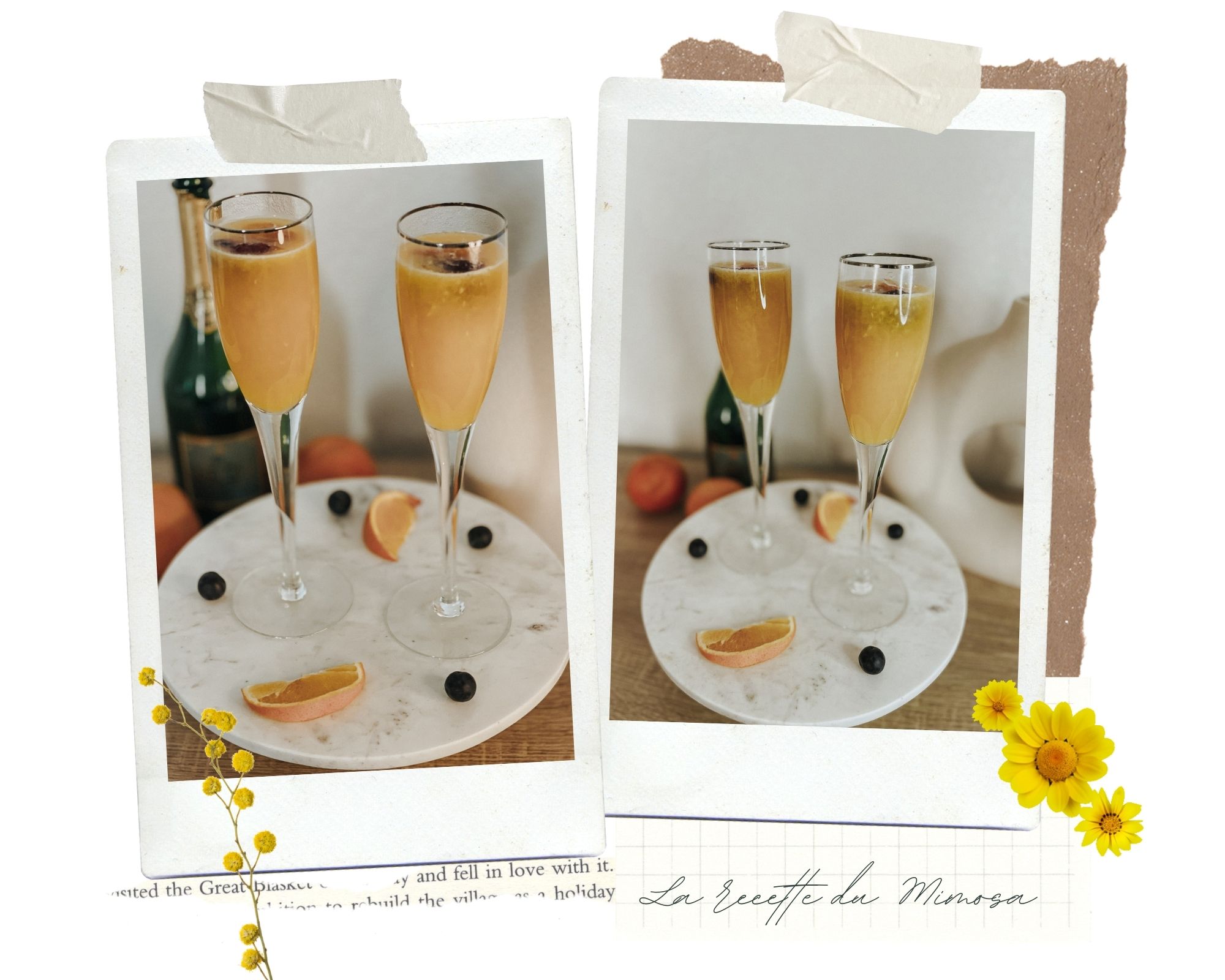La recette classique du Mimosa | Moments Factory